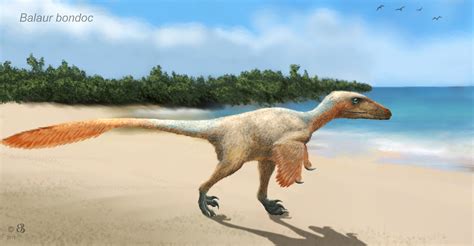 Balaur
