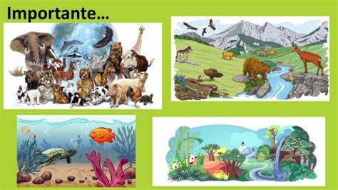 Qué Factores Conforman Un Ecosistema Colombia Verde