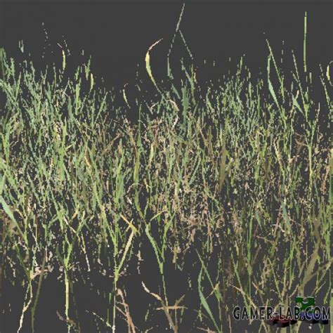 Grasspack3 Herbs Biology Various Models Source Warehouse Hl2