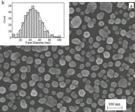 Sem Micrograph A Showing The Distribution Of The Nanoparticles