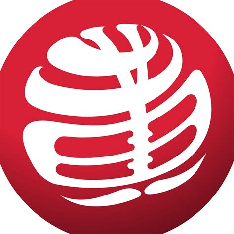 Mmw Bone Alignment Centre Master Max Wong Youtube