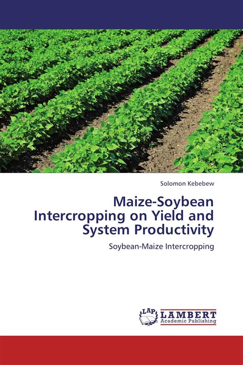 Maize Soybean Intercropping On Yield And System Productivity 978 3