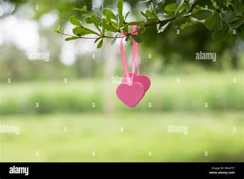 Hearts In Nature Photos