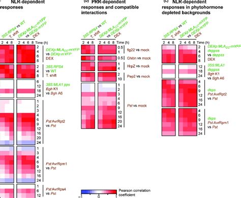 Transcriptome Wide Correlation Analysis Between Effector Triggered