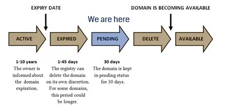 Domain Life Cycle Whoapi Inc
