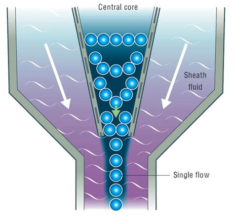 Flow Cytometry Animation