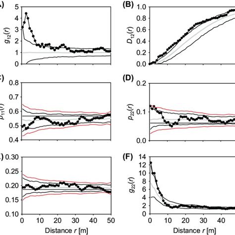Examples For Analyses Of Bivariate And Qualitatively Marked Patterns