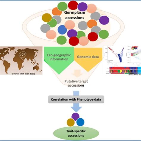 Scheme For Integration Of Genomic And Eco Geographic Information In
