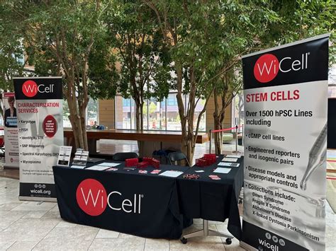 Thrilled To Be At The Uw Madison Stem Cell Regenerative Medicine Center