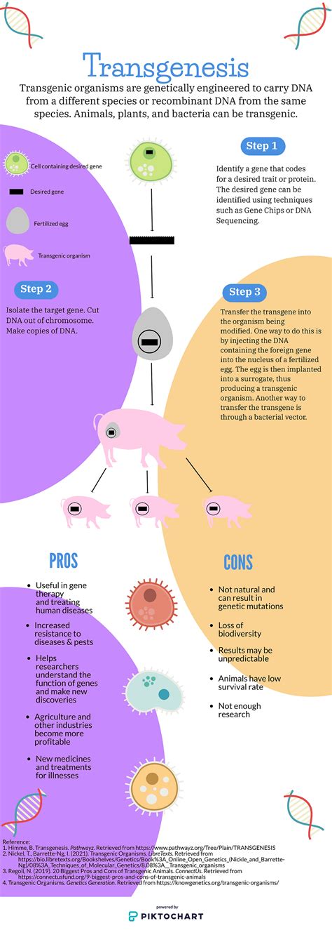 Could Transgenesis Be The Key To Treating Diseases
