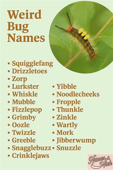 500 Cute And Funny Bug Names With Generator Names Nick