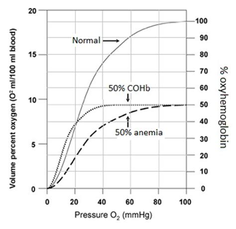 Solved Consider The Oxygen Binding Curves In The Figure Chegg Com