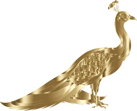 Peacock Gold Bird Free Vector Graphic On Pixabay