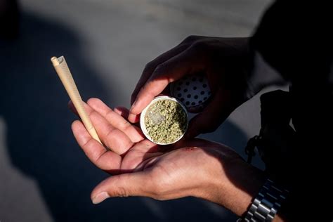 El Consumo De Cannabis Cae Un 40 Entre Los Adolescentes Españoles En 20 Años Sociedad El PaÍs