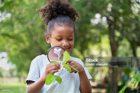 아프리카 계 미국인 어린이 소녀는 숲에서 돋보기로 탐험합니다 4 5세에 대한 스톡 사진 및 기타 이미지 4 5세 과학 실험 귀여운 Istock