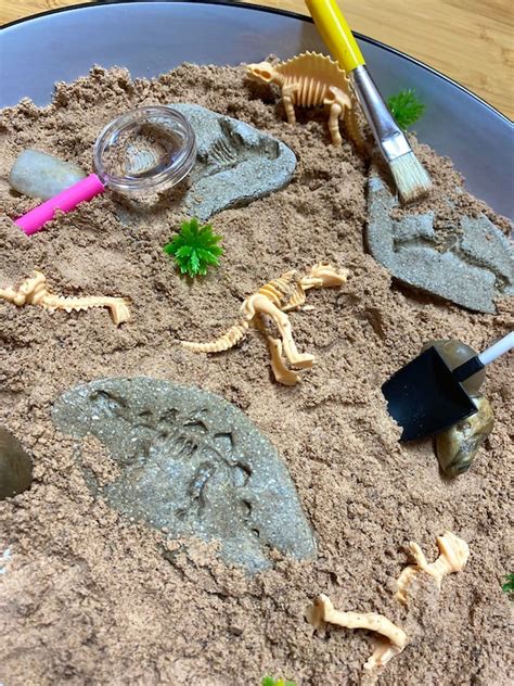 Dinosaur Fossil Kit Fossil Excavation Kit Paleontology Etsy