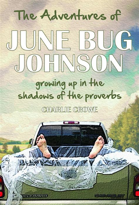 The Adventures Of June Bug Johnson Crosslink Publishing