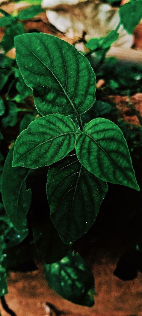 Hari Haran On Linkedin