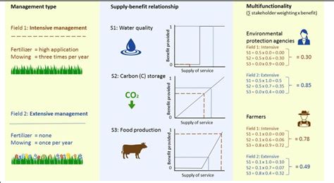 Figure 3 From What Is Ecosystem Multifunctionality 1 2 3 Semantic