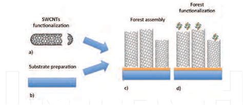 Figure 2 From Electrochemical Biosensing With Carbon Nanotubes