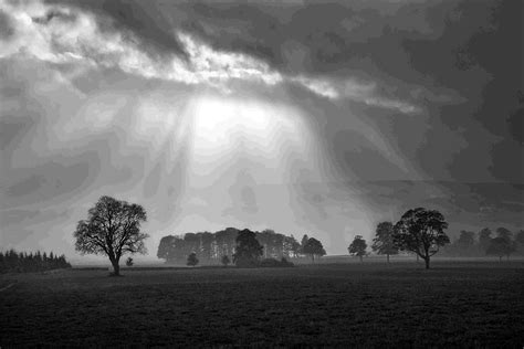 Loon Peak Cloud Burst Wayfair Canada