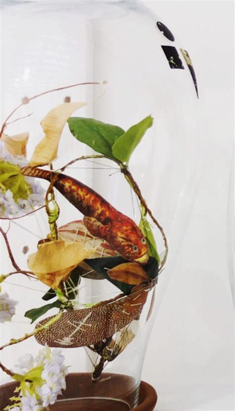 Butik Collective Eva Basso