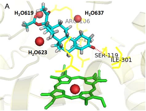 The Binding Modes Of Three Typical Substrates Docked Into The Active Download Scientific