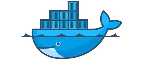docker compose portainer agent slash root fr