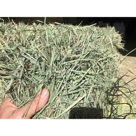 Pleasant View Farms 3 String Western Orchard Grass Bale The Cheshire