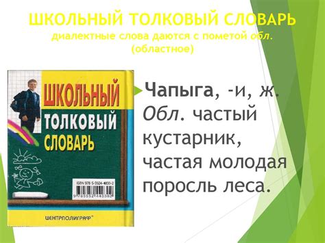 Диалектизмы, профессионализмы и жаргонизмы - презентация онлайн