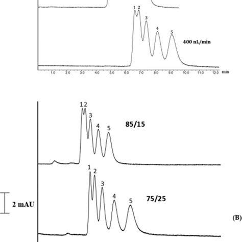 separation chromatograms of alkylbenzenes on the monolith with 50 μm