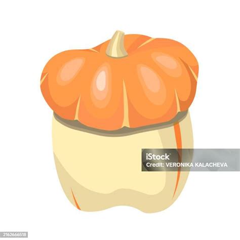 모자를 쓴 호박 하얀 배경에 고립되어 있는 가을 디자인에 대 한 벡터 일러스트 레이 션 10월에 대한 스톡 벡터 아트 및 기타 이미지 Istock