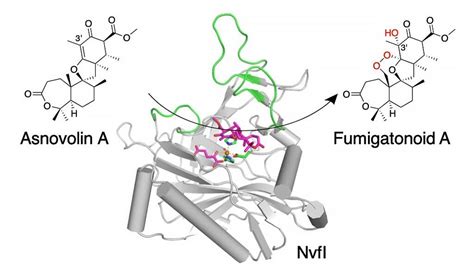 Unique Endoperoxide Development Through The Introduction Of Three