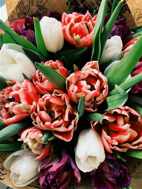 Red And White Tulip Bouquet