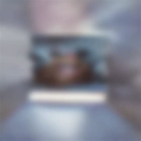 Transient Protein Expression Methods And Implications