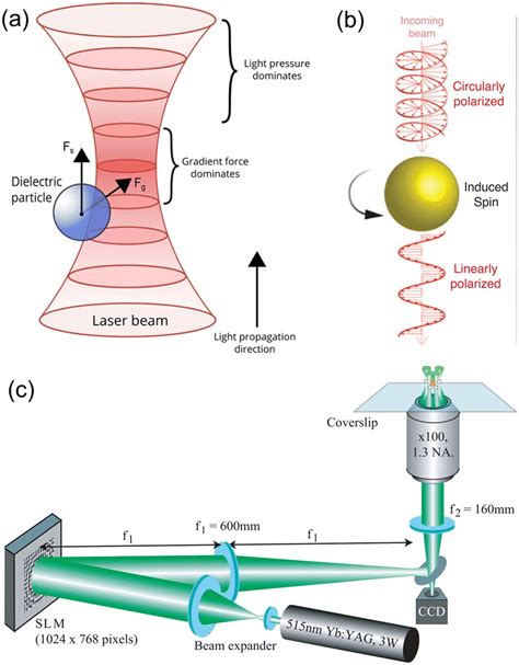 A Review On Microrobots Driven By Optical And Magnetic Fields Lab On A Chip Rsc Publishing