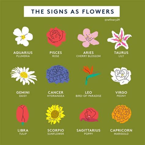 Flowers Meanings And Symbols