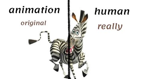 How To Draw If Marty Were Human Madagascar Youtube