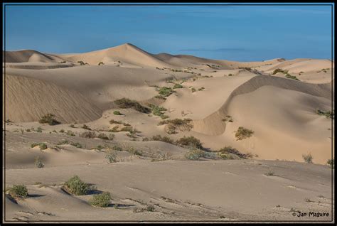 Elevation Of Glamis Ca Usa Maplogs