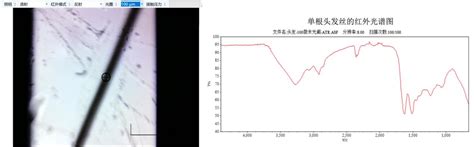 News Ftir Microscope Solution For Identification Of Microplastics