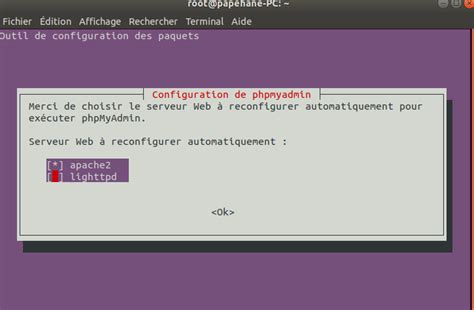 Installation De Phpmyadmin Sous Ubuntu 1804