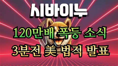 시바이누 코인 3분전 美 법적발표로 120만배 폭등 한다 Youtube