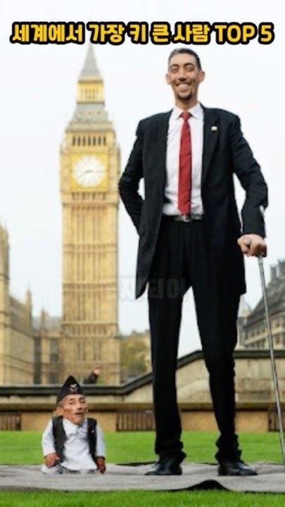 세계에서 가장 키 큰 사람 Top 5 Youtube