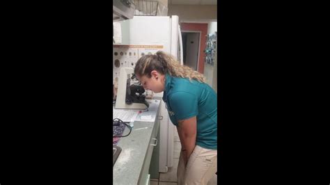 Snap Heartworm Test Youtube