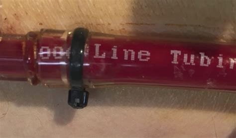 Ecmo Circuit Rupture Intensive