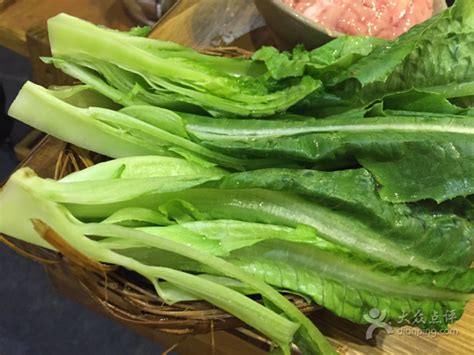 莴笋叶 快懂百科