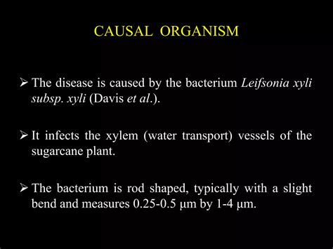 Sugarcane Grassy Shoot And Ratoon Stunting Diseases Pptx