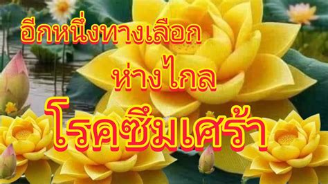 อีกทางเลือก ห่างไกล โรคซึมเศร้า ขออนุญาตเจ้าของคลิป แบ่งปันค่ะ