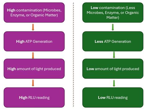 Understanding Atp Bioluminescence In Food Safety Nextgen Agrifood Insights