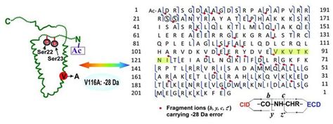 Protein Structure Characterization